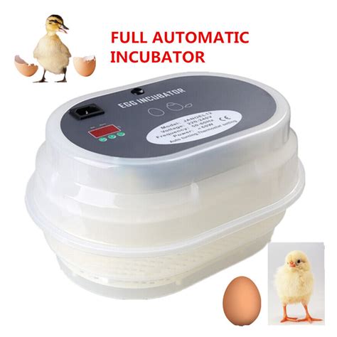 Home Mini Digital Egg Incubator Automatic Chicken Duck Bird Incubator On Aliexpress