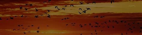 Migrating From Traditional Databases To The Cloud