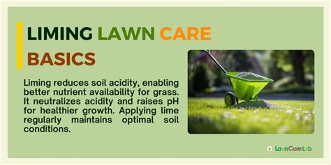 Liming Lawn Care When And Why To Apply Lime Lawn Care Lab