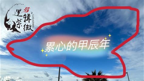 【逻辑紫微】elisa 2024 甲辰年，哪张盘最累心 Youtube