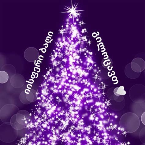 თბილისის მე 100 საბავშვო ბაგა ბაღი იისფერი ბაღი