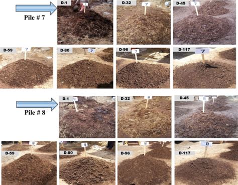Industrial Compost Pile