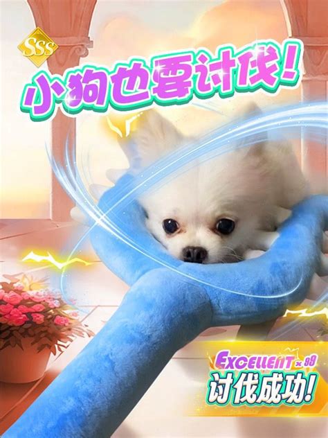 Chiikawa Cm