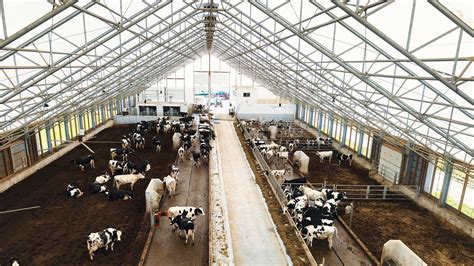 Dairy Barn Interior