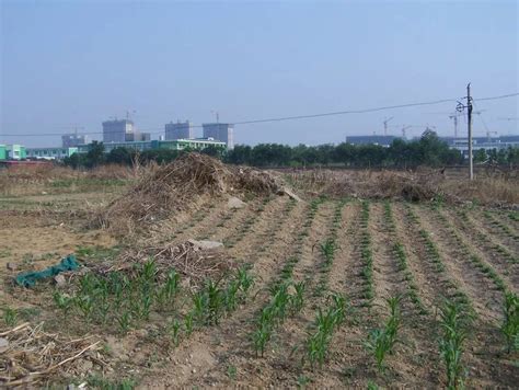 化肥价格降不下来，是否会影响农民种植积极性，这个难题咋解决？ 古风九九的回答 头条问答
