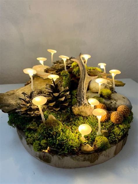 Mushrooms And Colors Artofit