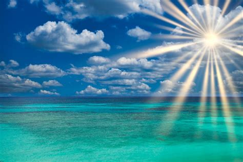 Premium Photo Beautiful Coral Reef Sea Of Okinawa