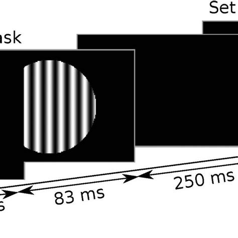 Stimulus Sequence Used In Our Experiments Download Scientific Diagram