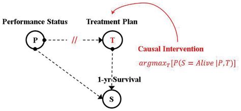 Schematic Explanation Of A Causal Intervention On A Bn Doi