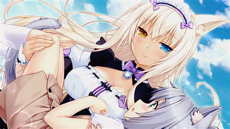 Hd Wallpaper Maid Outfit Visual Novel Cat Girl Neko Para Tail Big Boobs Wallpaper Flare