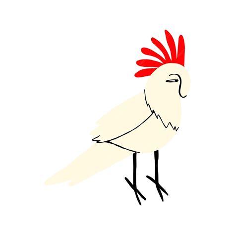 Premium Vector Cute Cartoon Comic White Cockatoo Parrot Hand Drawn