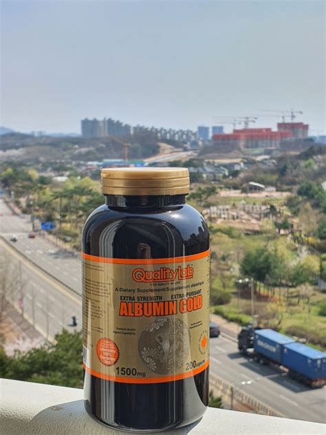 피로회복 영양제 추천 알부민 네이버 블로그