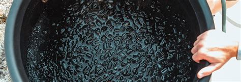 Guide To Heat Shock Proteins And Cold Shock Proteins Ice Barrel