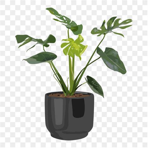 Jungle Vector Png Images Free Photos Png Stickers Wallpapers