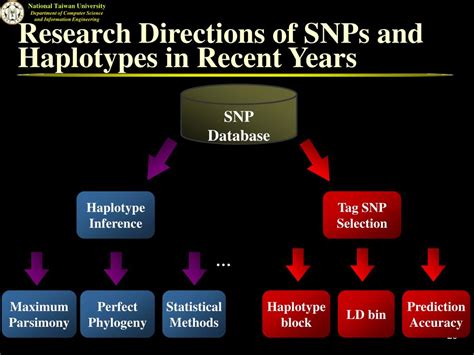 Ppt Introduction To Snp And Haplotype Analysis Powerpoint