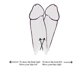 Spinner Sex Position Personal Life Media