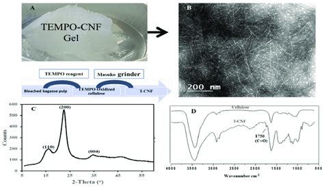 Preparation Of Tempo Oxidized Cellulose Nanofibrils Dispersed In Water