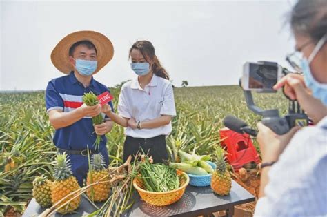 淘宝：丰收节农产品直播超过100万场，农民主播超十万人驱动中国