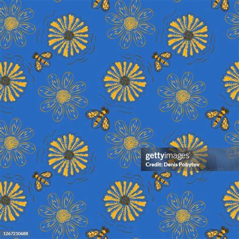 Bumblebee Wallpaper Photos And Premium High Res Pictures Getty Images