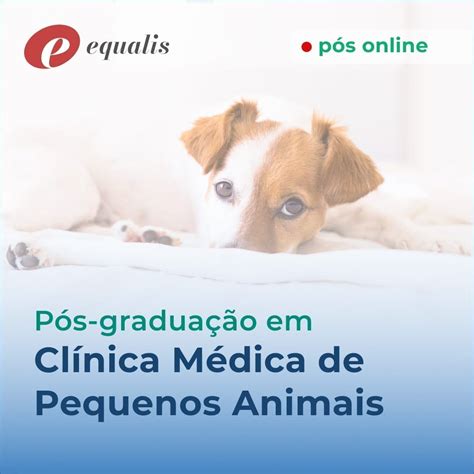 Cursos Online de Pós Gradução e Atualização Equalis