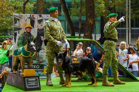 Desfile 20 De Noviembre Cdmx Fecha Ruta Y Calles Cerradas