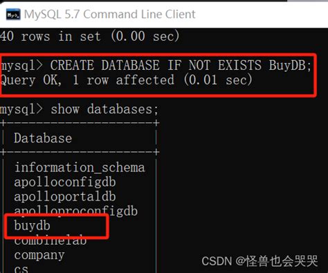数据库系统原理——备考计划1：关系数据库标准语言sql知识点汇总【附加例题演练】给客户表customer增加两条记录内容为 006、张三此处用自己真实姓名代替、杭州 Csdn博客