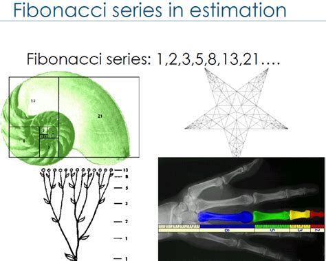 Uncovering Efficiencies Through Agile Estimation