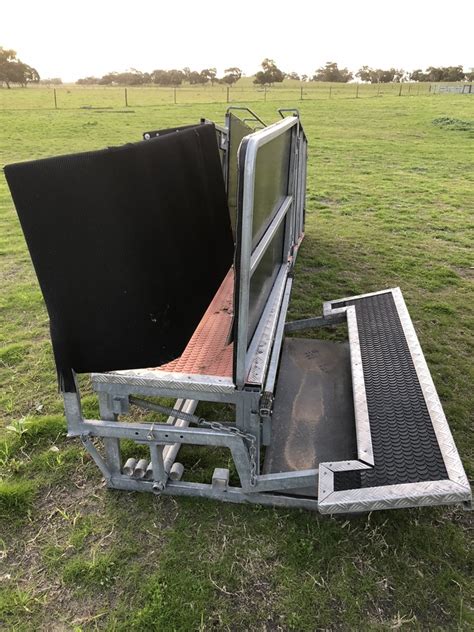 Sheep Handler Clamp Livestock Equipment Livestock Handling