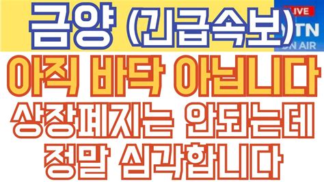 금양 주가전망 긴급속보 아직 바닥 아닙니다 상장폐지는 안되는데 정말 심각합니다 Youtube