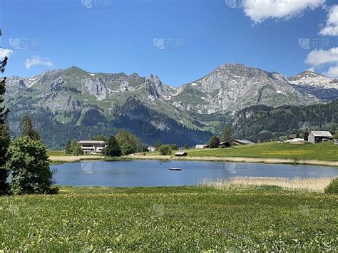 瑞士圣加伦坎顿圣加伦schweiz Kanton St Gallen Schweiz的奥伯托