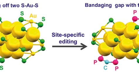 Surface Sites On Gold Catalyst Edited To Control Regioselectivity Of A Click Reaction Research