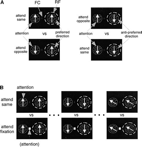 Feature Based Attention Increases The Selectivity Of Population Responses In Primate Visual