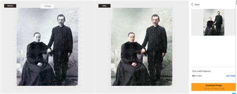 Reviving Memories Unveiling The Marvels Of Ai Photo Colorization