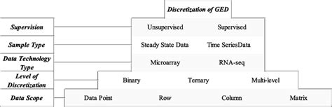main features of gene expression discretization with their multiple