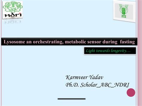 Lysosome An Orchestrating Metabolic Sensor During Fasting Ppt