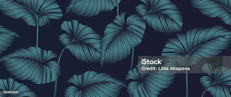 열 대 벡터 어두운 배경 와 3d 나뭇잎 와 식물 포스터 배너 벽지 0명에 대한 스톡 벡터 아트 및 기타 이미지 0명 가리기 꽃 식물 Istock