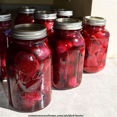 Recipe For Preserving Pickled Beets Bryont Blog
