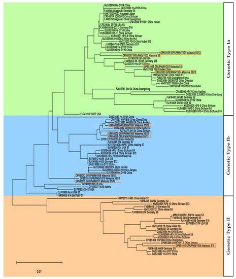 Pathogens Special Issue About Glaesserella Haemophilus Parasuis