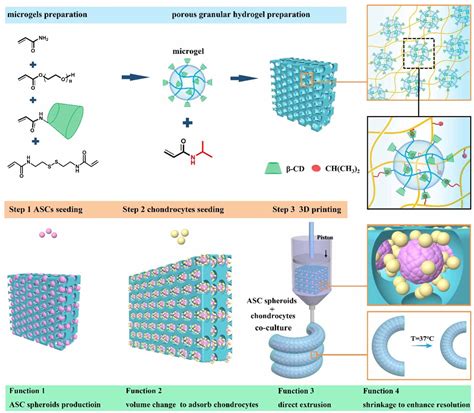 生物医用及环境友好高分子材料实验室