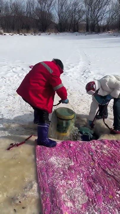 大水窟裏面撈魚，看看能能撈上來多少！捕魚fishing戶外搞笑shorts Youtube