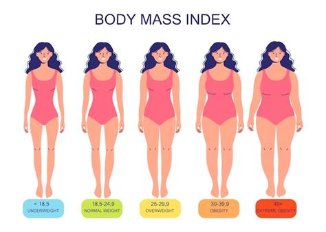 남성 실루엣 및 규모와 남자 체질량 지수 피트니스 Bmi 차트 프리미엄 벡터