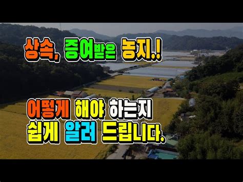 👌상속 증여받은 농지 어떻게 해야 하는지 쉽게 알려드립니다 벌금 피하는 실전 노하우👌