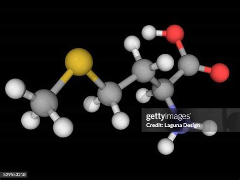 Methionine Structure Photos And Premium High Res Pictures Getty Images