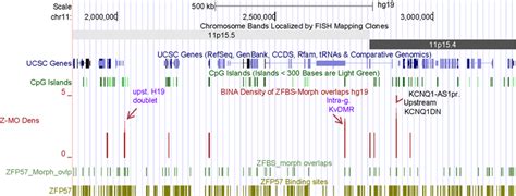The Positions Of Peaks In A Density Plot Covering Mb Long Dna The Download Scientific