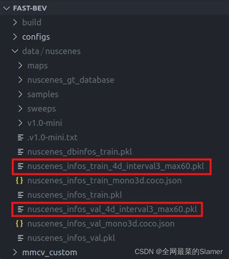 fast bev代码复现实践 fastbev复现 csdn博客