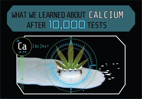 Insights Into Calcium Levels From Over 10 000 Tissue Tests Arvum Plant Labs