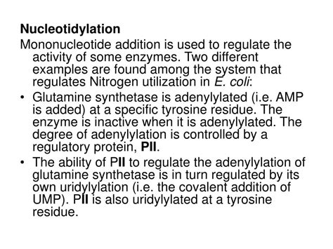 Ppt Post Translational Modification 1 Dealing With The N Terminal Residue Powerpoint
