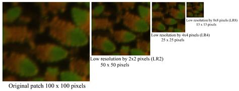 Multi Resolution Weed Classification Via Convolutional Neural Network