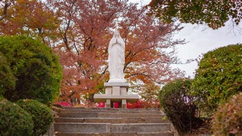 ASAN SOUTH KOREA OCTOBER 9 2024 Statue Surrounded By Autumn