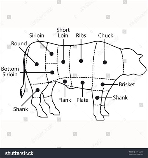 Beef Chart Poster Stock Illustration 81942271